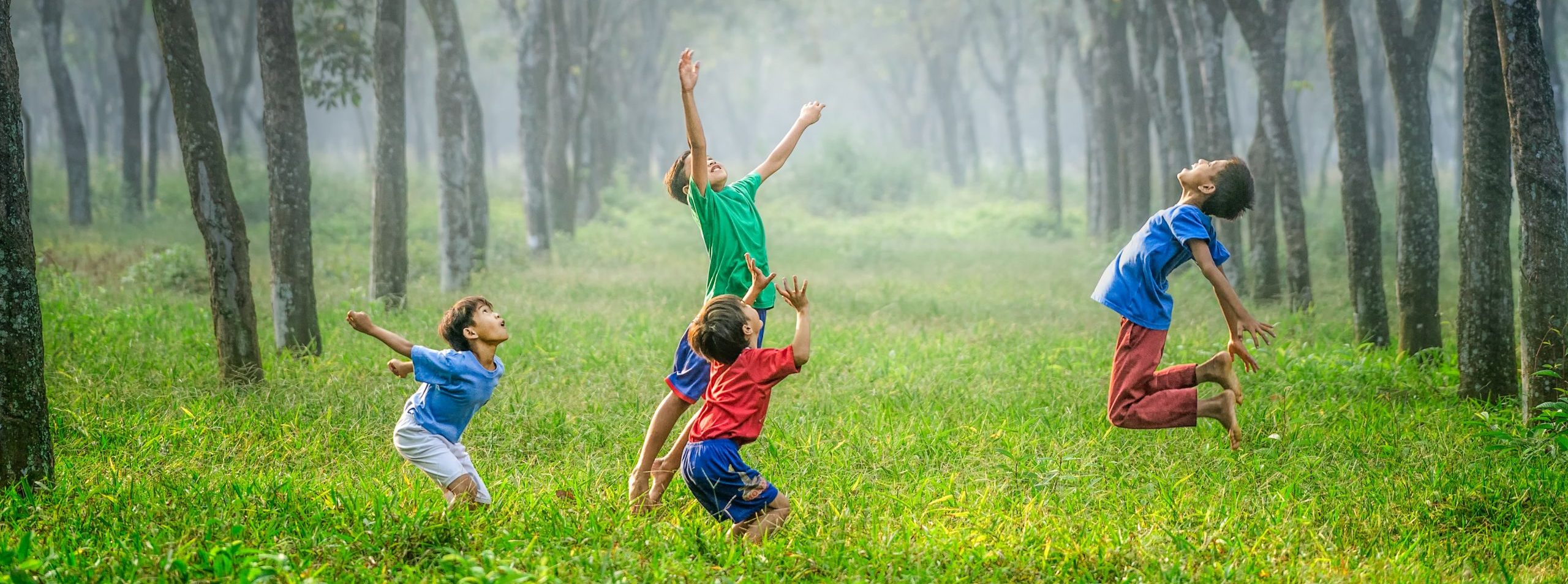 Top Page - International Social Service Japan ( ISSJ )